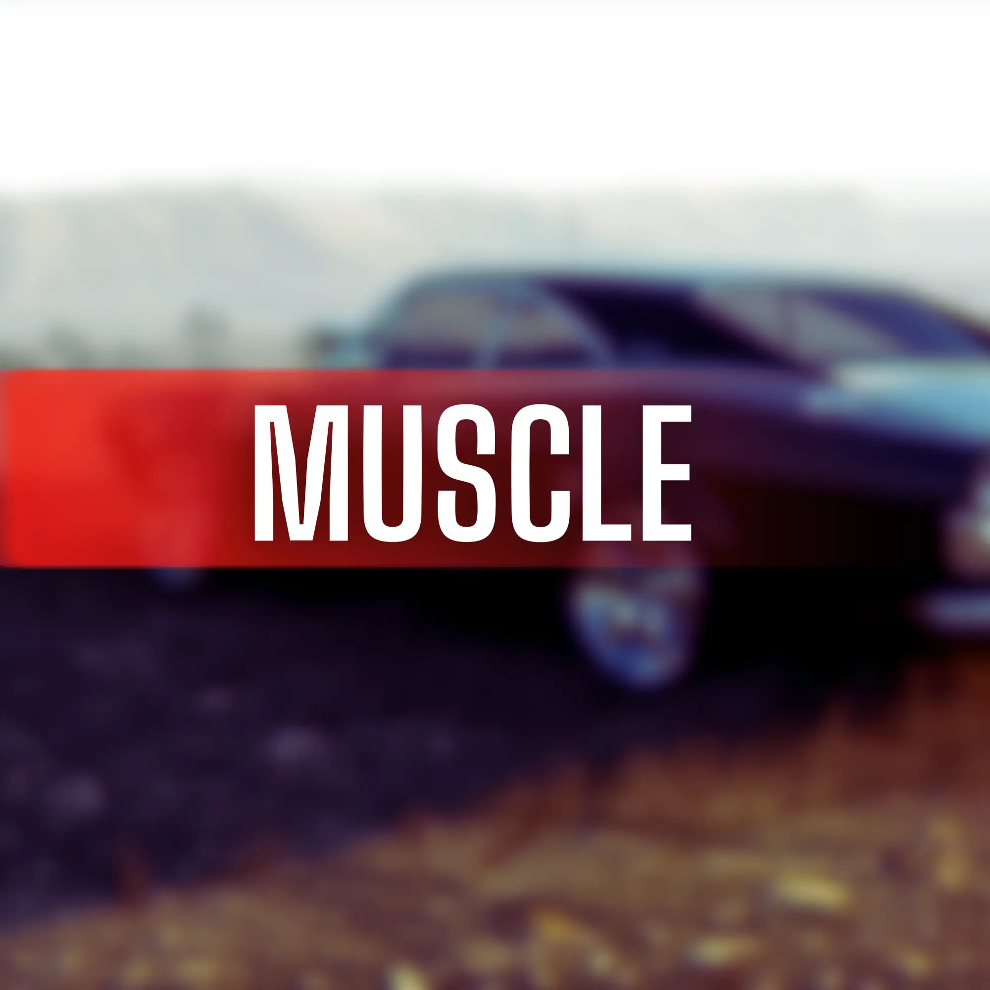 FiveM Muscle Cars – Lore-Friendly & Debadged Classic Vehicles – FivemMarkt